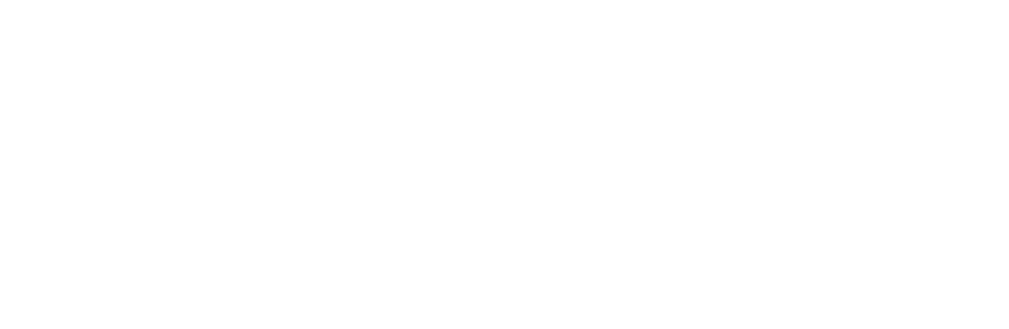 white_logo_transparent_background – Wonderland Retreat